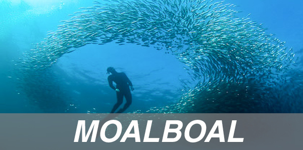 Package tours in Negros Island