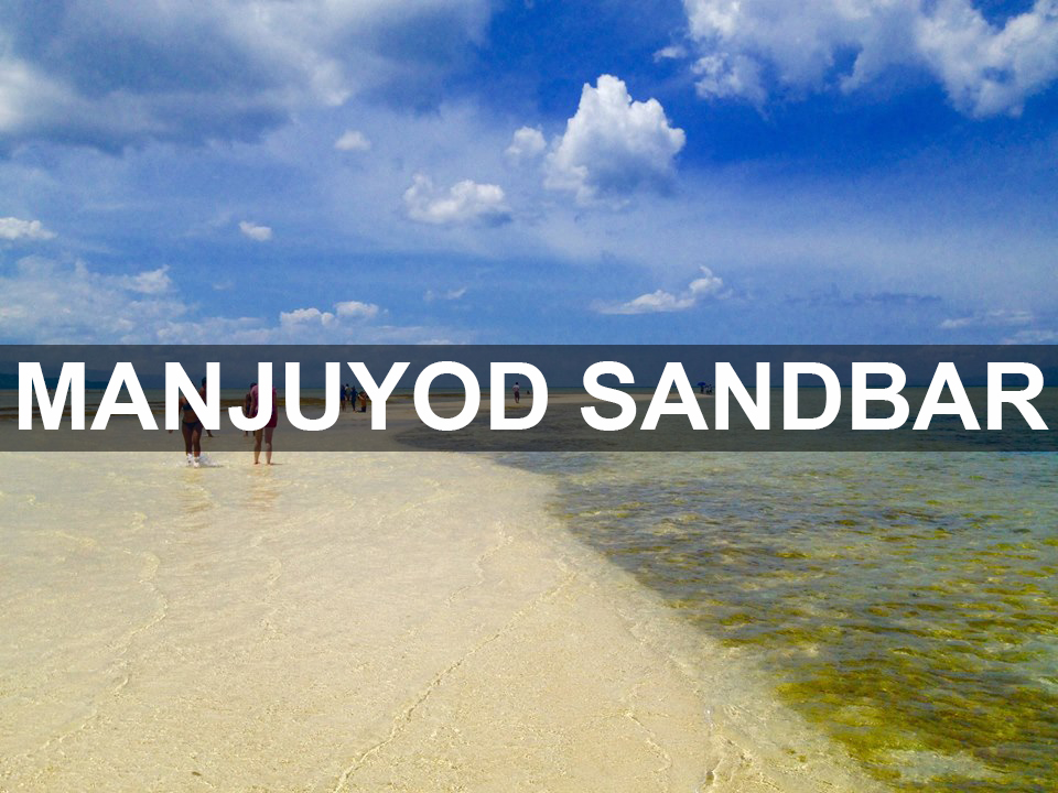 Bais dolphin watching | manjuyod sandbar | maldives of the philippines