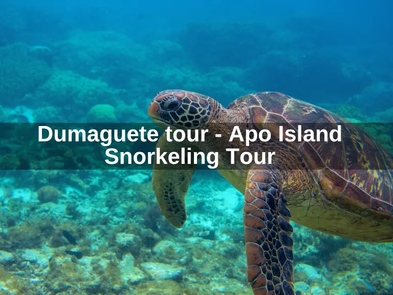 Dumaguete tour – Apo Island snorkeling tour